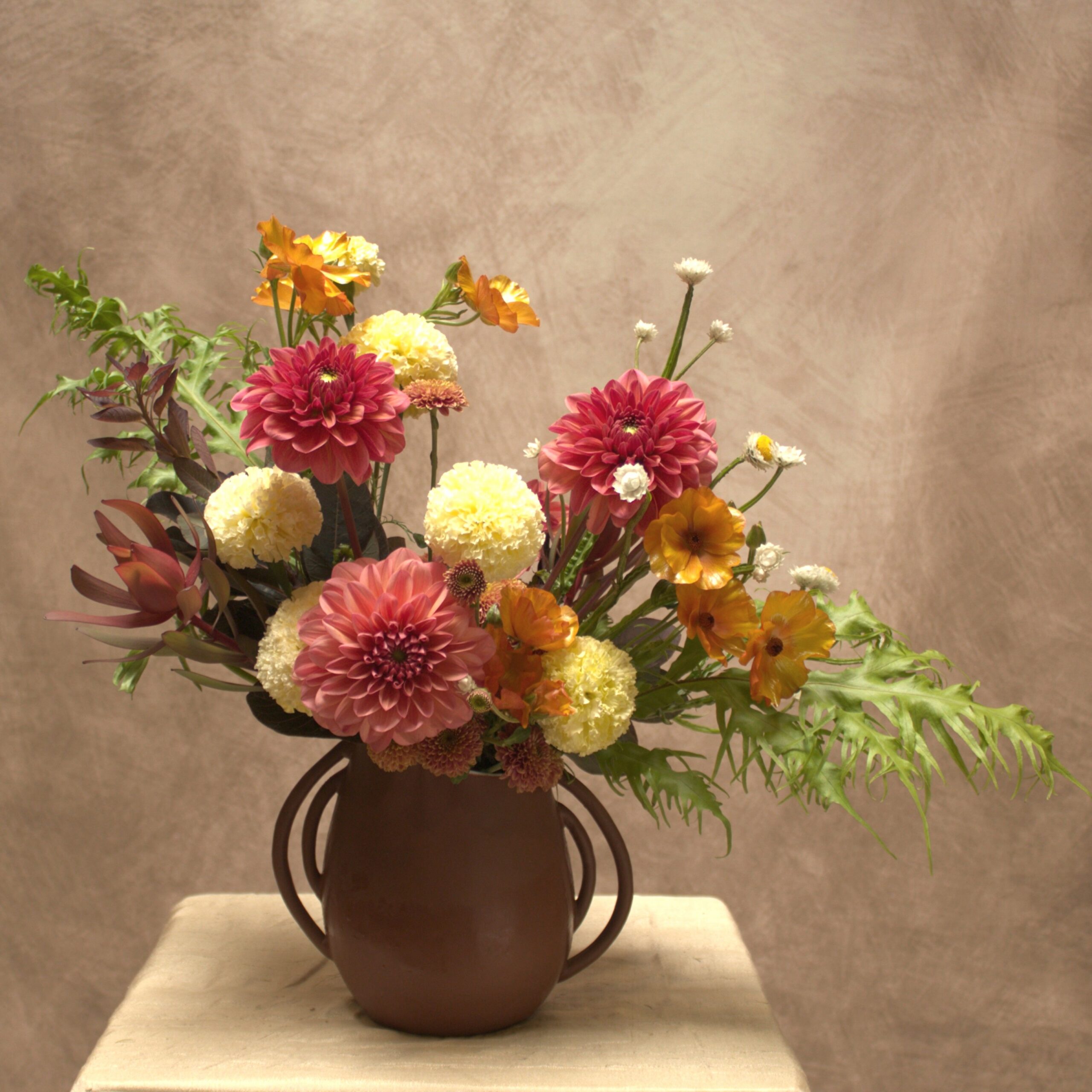 Marigold Charm - Mark's Garden